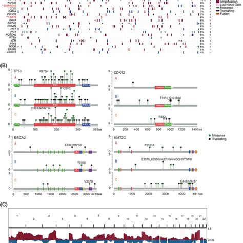 Mutation Characterization Among Three Groups A The Oncoprint Plot