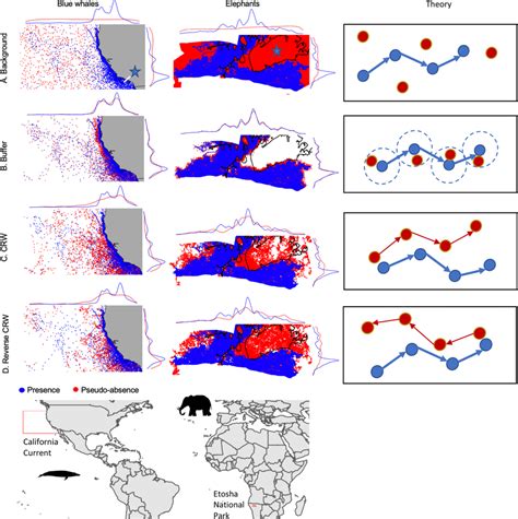 Presence Data Blue Points And Pseudo Absence Data Red Points For Download Scientific
