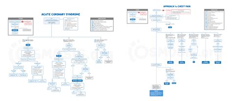 Learn How To Think Clinically With The New Osmosis Clinical Sciences