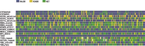 Visual Genotype Graph For 16 Polymorphic Loci Rows Among The 246