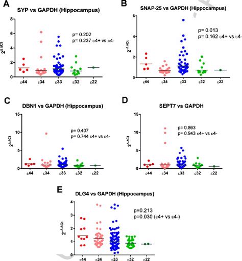 Representative Double Labelled Immunofluorescence Staining Of A Map2
