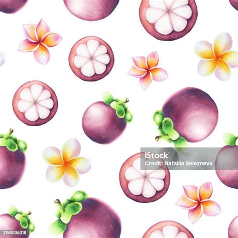 보라색 망고스틴과 Plumeria 꽃 완벽 한 패턴입니다 열 대 수채화 과일 꽃 그림 배경에 고립되어 있습니다 디자이너 스파 장식 엽서 결혼식 인사말 월페이퍼 포장지 스크랩