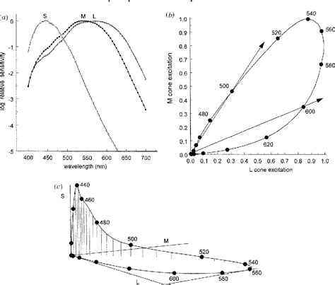 Figure 1 From Human Colour Perception And Its Adaptation Semantic Scholar
