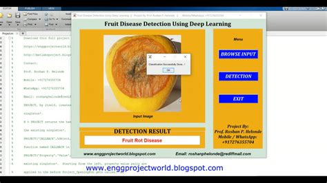Fruit Disease Detection Using Deep Learning Fruit Disease Classification Using Matlab Final