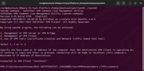 How To Set Up A SoftEther VPN Over HTTPS Client On Windows And Linux