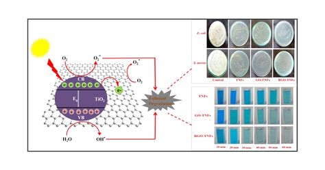 Visible Light Driven Carbon Doped Tio2 Based Nanocatalysts For Enhanced Activity Toward Microbes