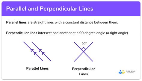 Parallel And Perpendicular Lines GCSE Maths Steps Examples Worksheet