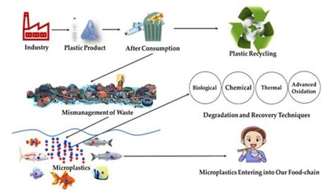 Water Special Issue Contaminants Of Emerging Concern In The Urban Water Cycle Fate