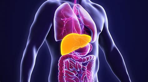 Liver Detox 3 Week Detox And Cleanse