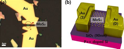 a optical microscope image and b schematic view of the multilayer