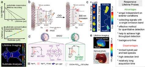 Lnnps Probe With Responsive Luminescence Lifetime A Schematic Download Scientific Diagram