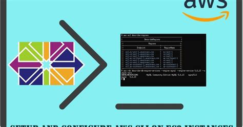 Setup And Configure Aws Cli On Ec2 Instances