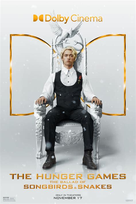 Hunger Games Posters