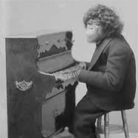 David Connell Youtube