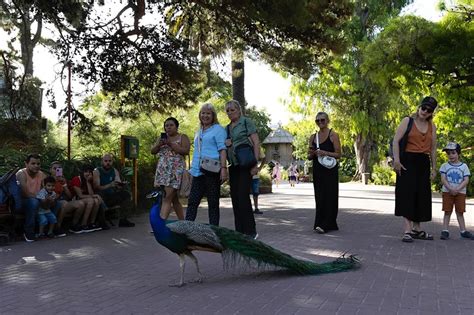 El Nuevo Perfil Del Ecoparque Porteño Rescatar Rehabilitar Y Liberar