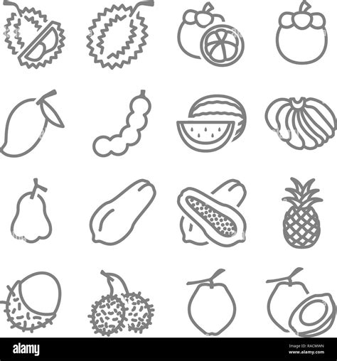 Asia Thai Fruits Related Vector Line Icons Contains Such Icons As