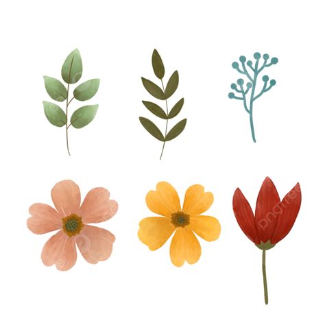 Hand Drawn Cute Flower Illustration Cute Flowers Flower Illustration Set Of Flowers Png