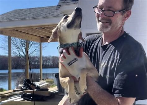 3rd Millennium Classrooms 3rd Millennium Classrooms