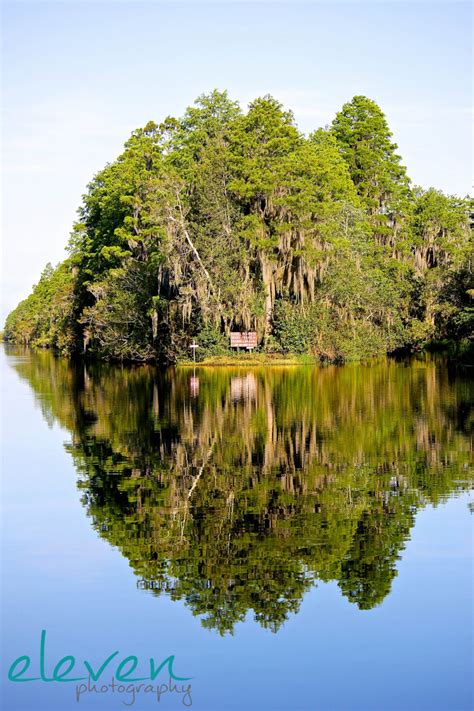 Okefenokee Swamp Folkston Georgia Reflection Trees Water Suwanee