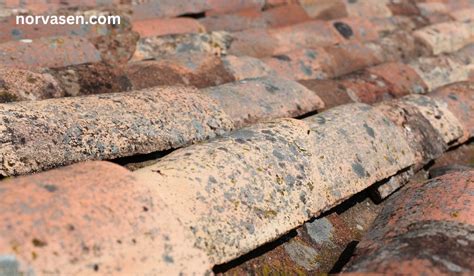 6 Critical Tips For Fixing Your Roof Norvasen