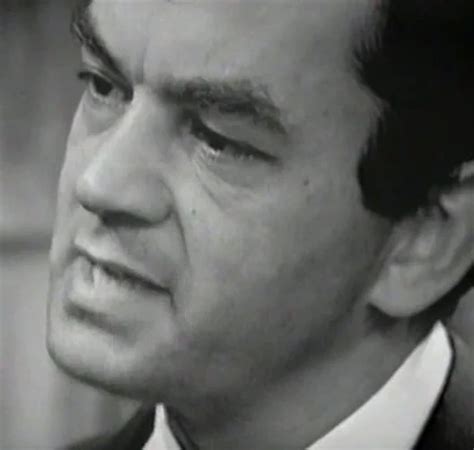 Forester · Tardis Guide