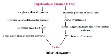 Ascites Causes And Treatment Bds Notes
