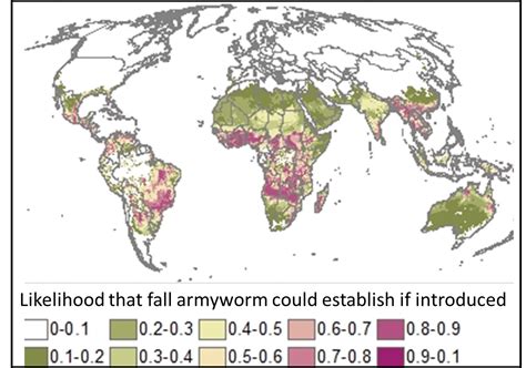 Scientists Forecast Where The Invasive Fall Armyworm Will Strike Next Preventionweb