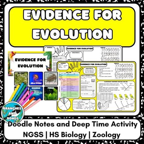 Evidence For Evolution Doodle Notes And Activity Ngss Biology Zoology