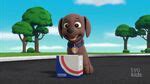 Pups Save A Rocket Roller Skatergallery Paw Patrol Wiki Fandom