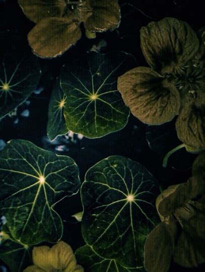 Mio Kijima Portfolio Photovogue