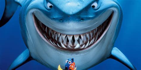 Diver Photographs Finding Nemo Shark Business Insider