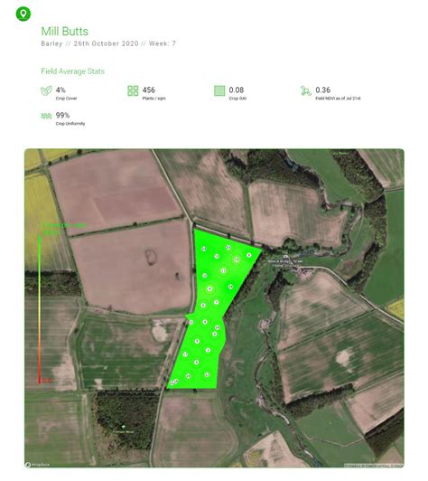 Automated Wheat Scouting By Drone