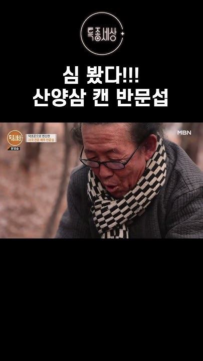 산양삼 캔 반문섭 Shorts Youtube