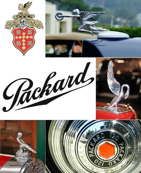Packard Car Logo Logodix