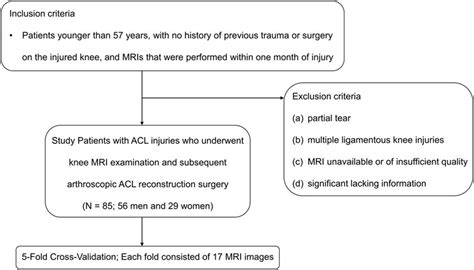 Frontiers A Deep Learning Approach For Anterior Cruciate Ligament