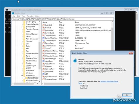 Windows 10100183091000rs Prerelease Prs181221 1600 Betaworld 百科