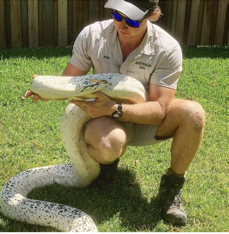 Burmese Python Burmese Pythons Morphmarket Reptile Community