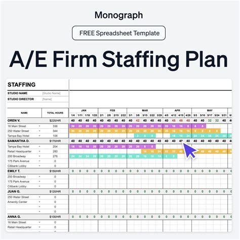 Architecture Project Staffing Plan Template Monograph Monograph
