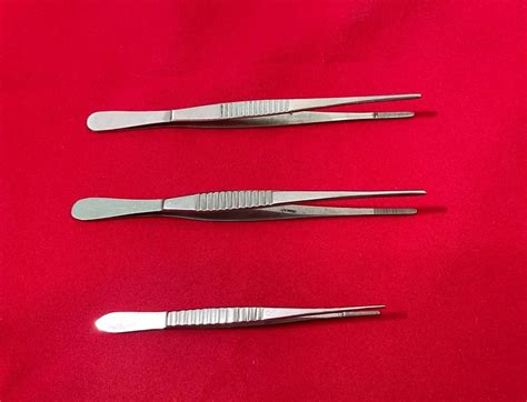 Stainless Steel Dissecting Forcep At ₹ 110piece In Jalandhar Id