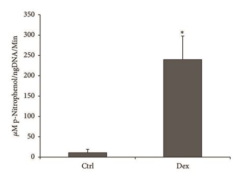 Detection Of Early Marker For Osteogenesis Within Induced Skeletal Download Scientific Diagram
