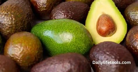 Avocados A Comprehensive Guide To 8 Varieties Benefits And Tips