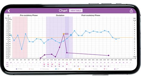 Ovulation Cycle Cervical Mucus