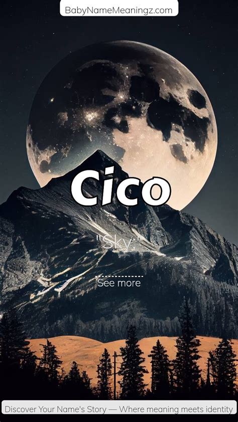 Cico Meaning Origin And Lucky Numbers Namesgoals