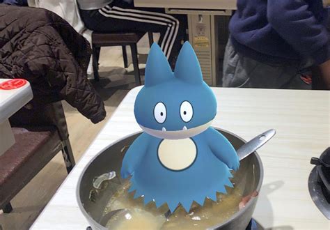 Munchlax Pokédexpokémon Go Pokémon Info 寶可夢資訊站