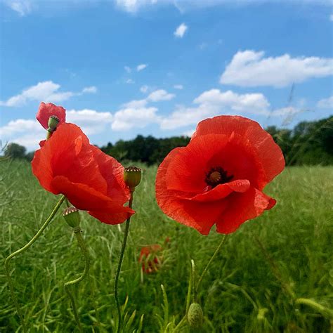 Sandra Scheffler Ausbildung Zur Kinderpflegerin Medizinische