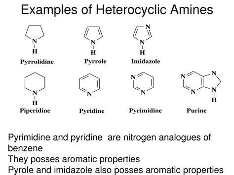Ppt Amines And Amides Biological Significance And Chemical Properties Powerpoint Presentation