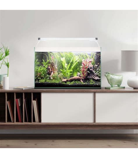 Oferta Kit Acuario Aqua Light Glass 40 21 L