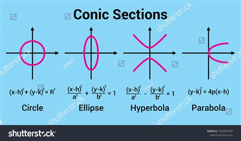 Conic Section Circle Ellipse Parabola Hyperbola Stock Vector Royalty