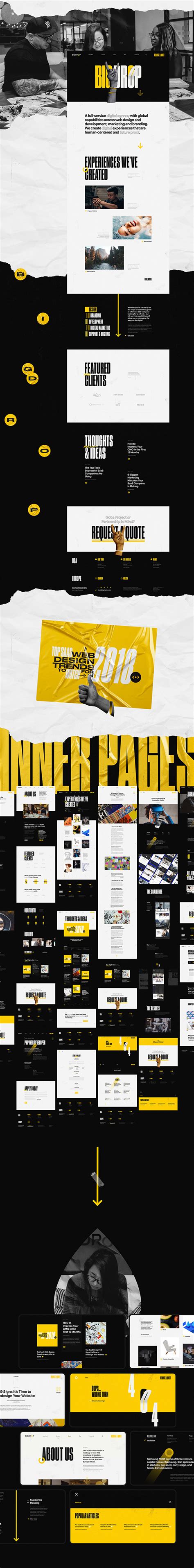 Web Site For Bigdrop On Behance