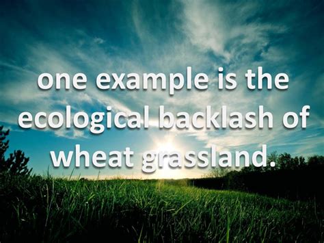 Ppt Ecological Backlashes Powerpoint Presentation Free Download Id